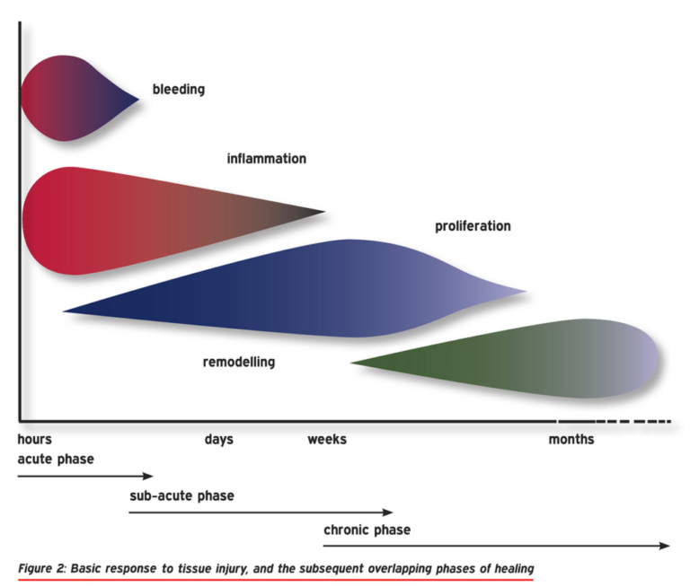 How Long Do Injuries Take to Heal? - Thrive Physical Therapy