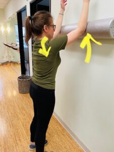 All About The Serratus Anterior - Thrive Physical Therapy