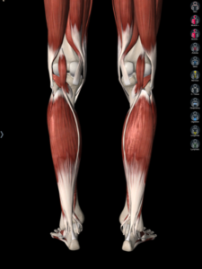 Can You Hop on One Foot? - Thrive Physical Therapy